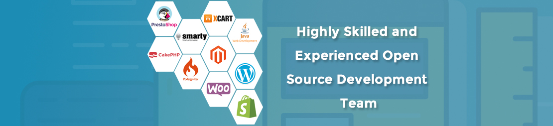 Highly Skilled and Experienced Open Source Development Company